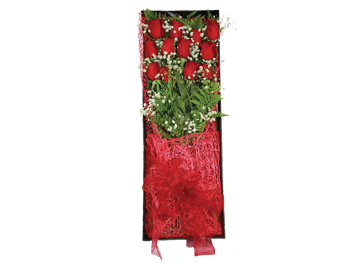 Premium Dozen Roses in Gift Box