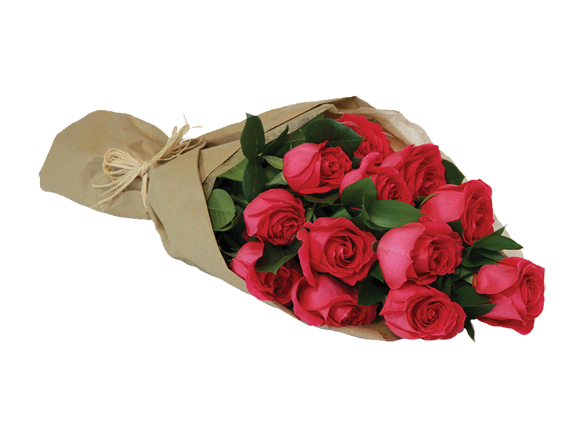 Dozen Roses Gift Wrapped (Assorted Colours)