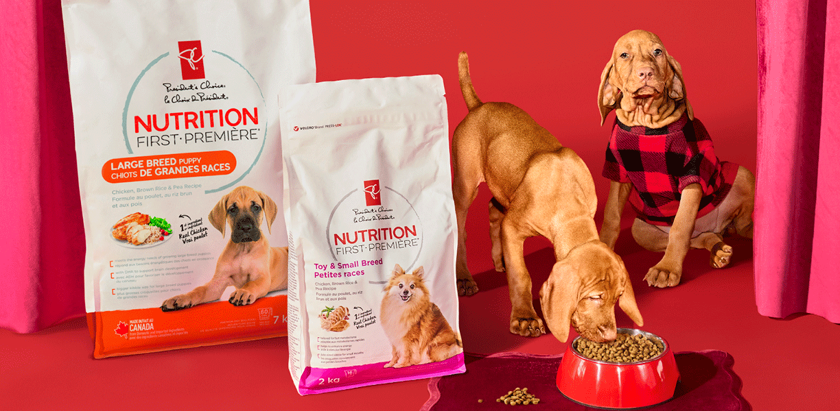 Real Canadian Superstore Supermarket | Grocery shop online or instore