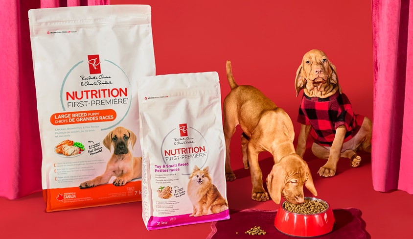 Shop PC Nutrition First Premium Pet Food & Treats | Zehrs