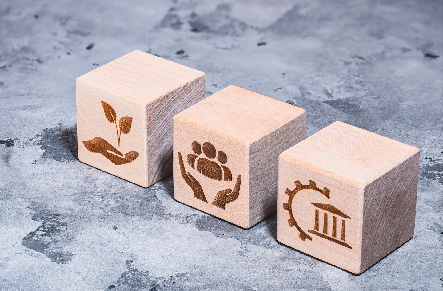 Our stories | Loblaw Companies Ltd.