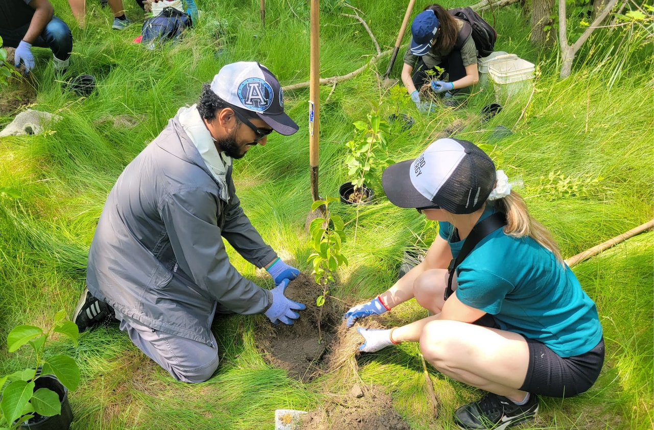 Justin plants 360 trees to offset Paper usage