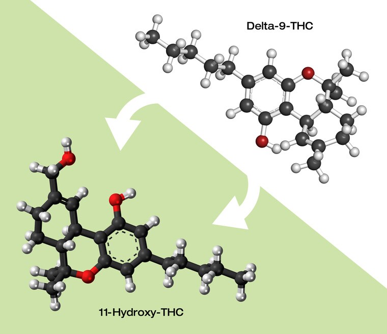 Cannabis Edibles - The Complete Guide | Medical Cannabis by Shoppers™