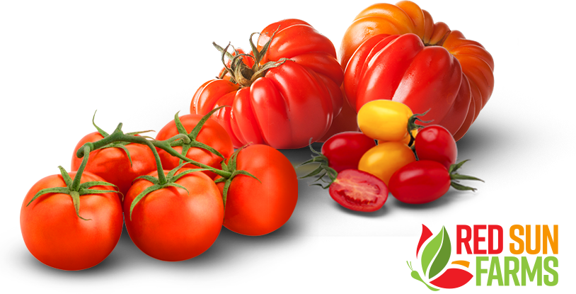 We Know Local | No Frills